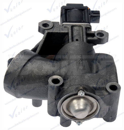 Productos - Distribuidora Junior