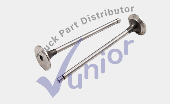 Productos - Distribuidora Junior