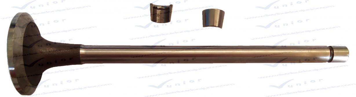 Productos - Distribuidora Junior