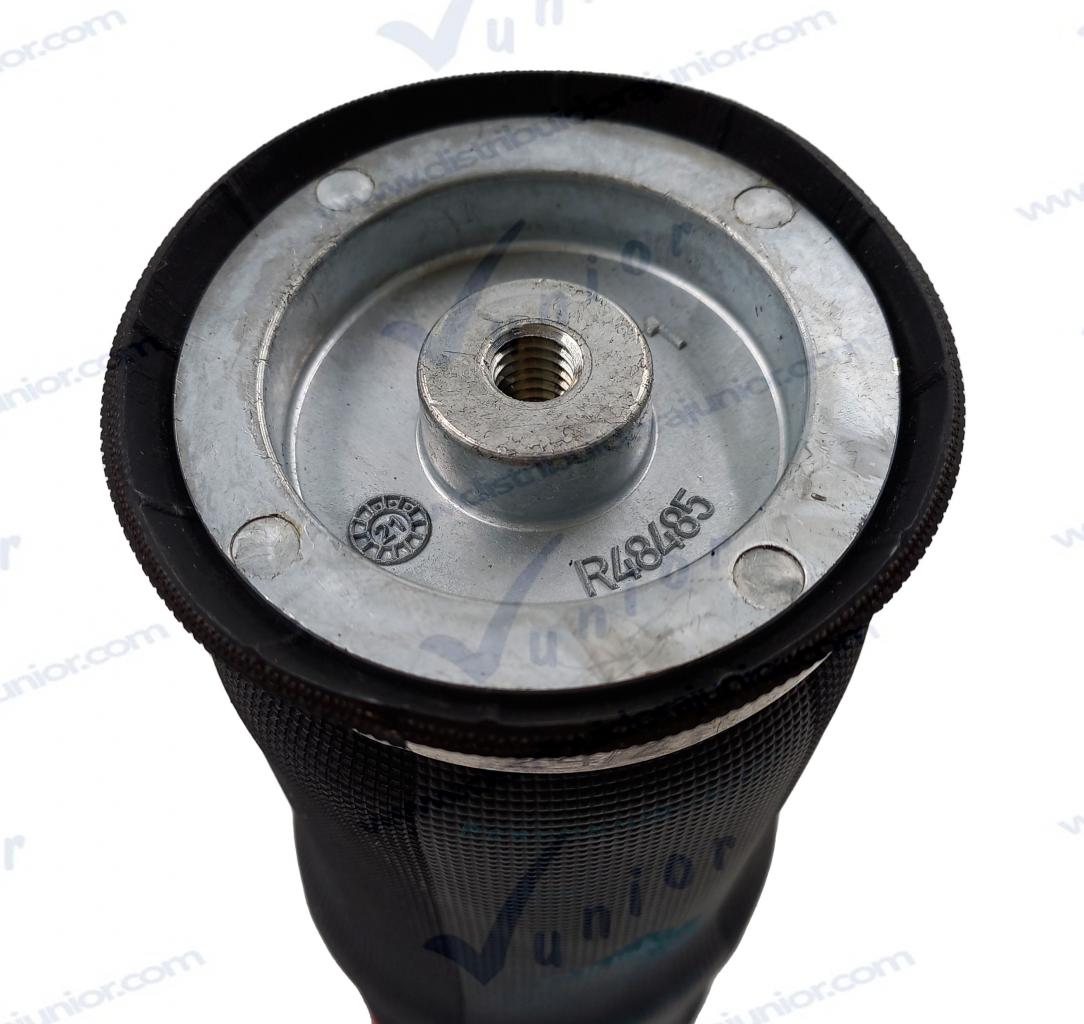 Productos - Distribuidora Junior