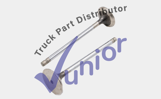 Productos - Distribuidora Junior