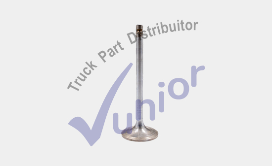 Productos - Distribuidora Junior