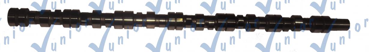 Productos - Distribuidora Junior